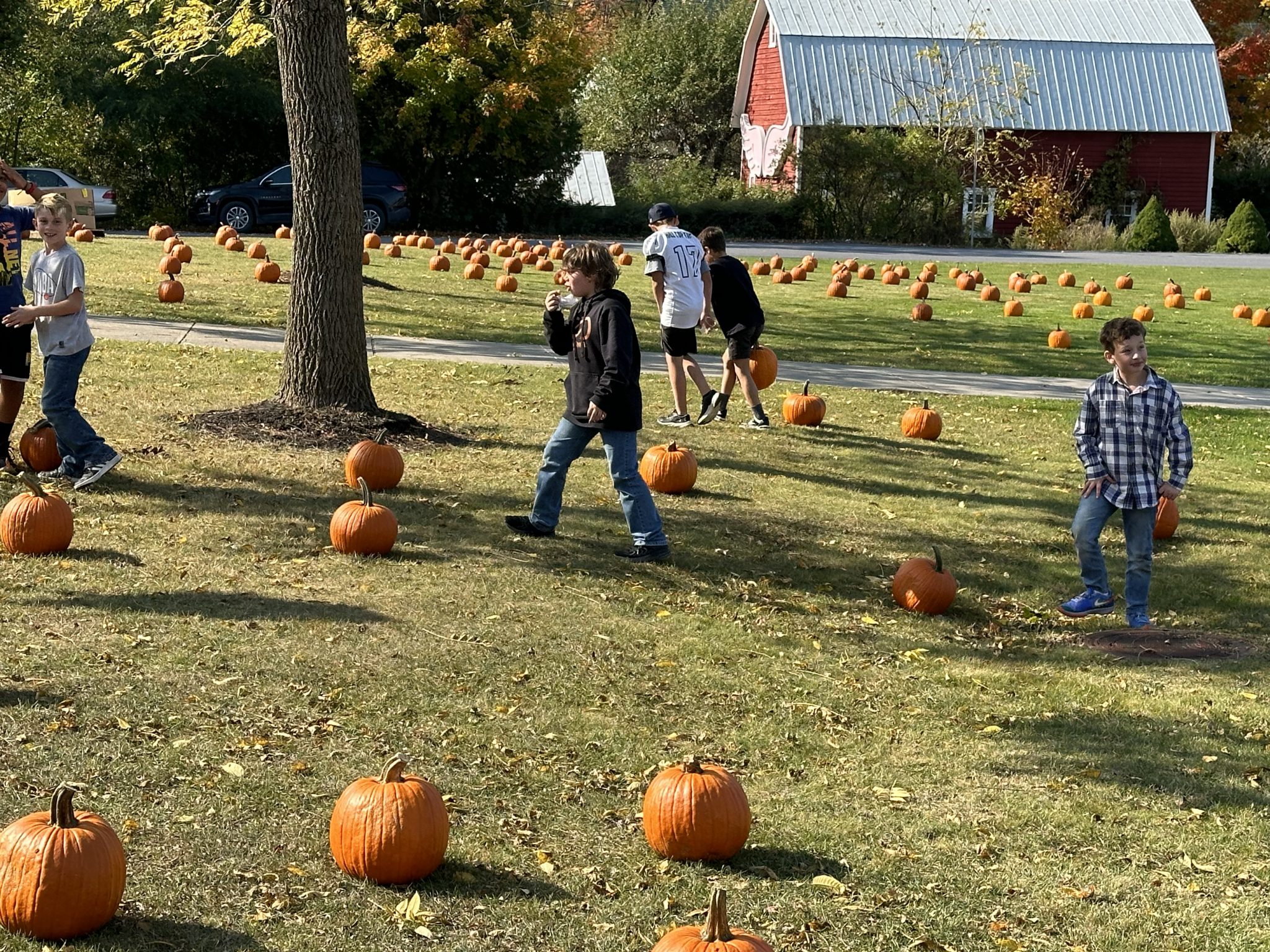 SSCS Turns Into Great Pumpkin Patch - Sharon Springs : Sharon Springs