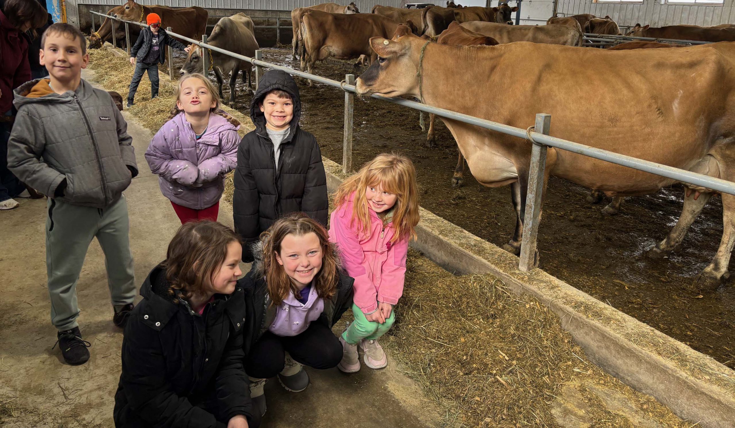 Second Graders Visit the Stone House Farm - Sharon Springs : Sharon Springs