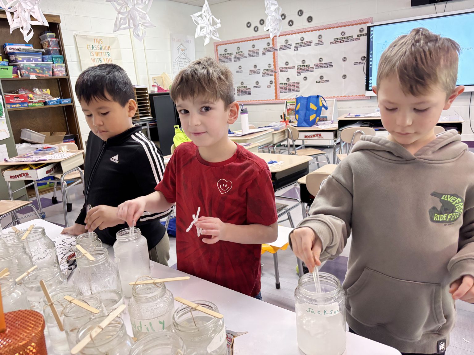 Crystal Snowflakes Forming in Second Grade Science Lab - Sharon Springs ...