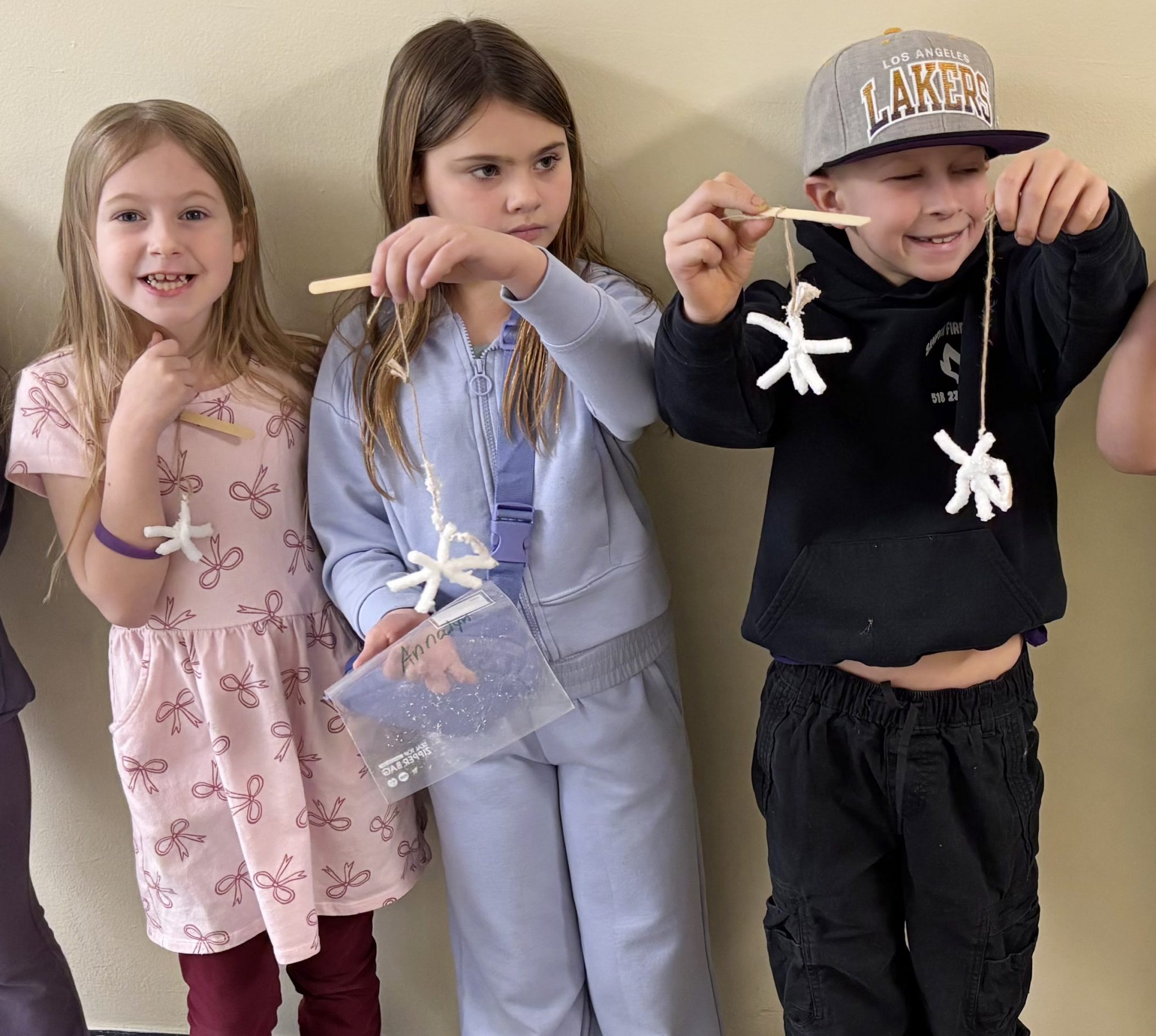 Crystal Snowflakes Forming in Second Grade Science Lab - Sharon Springs ...